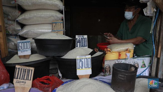 Pedagang: Harga Beras Premium Tembus Rp 18.000/Kg, Stok Aman!