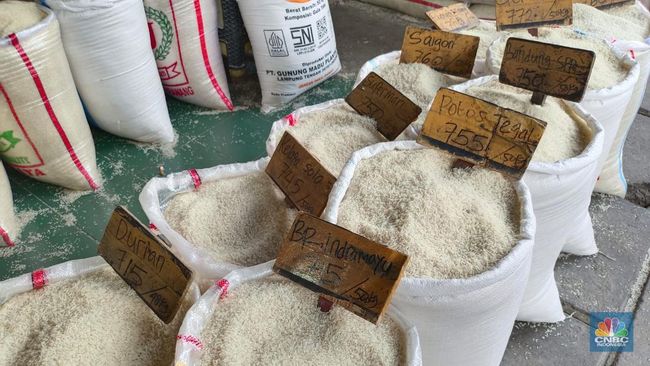 Bos Bulog Akui Harga Beras Bakal Sulit Turun Tajam, Ini Penyebabnya