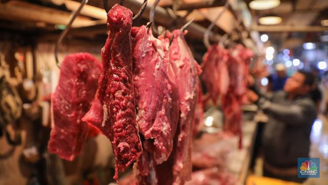 Siap-Siap! RI Bakal Banjir Daging Sapi Impor Jelang Lebaran