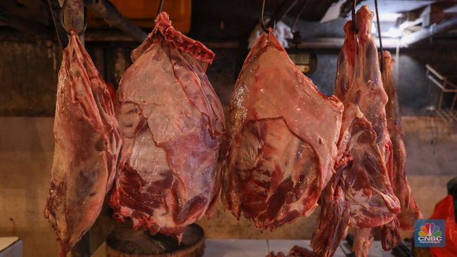 Siap-Siap! Bulog Tak Dapat Izin Impor, Harga Daging Sapi Naik Tinggi