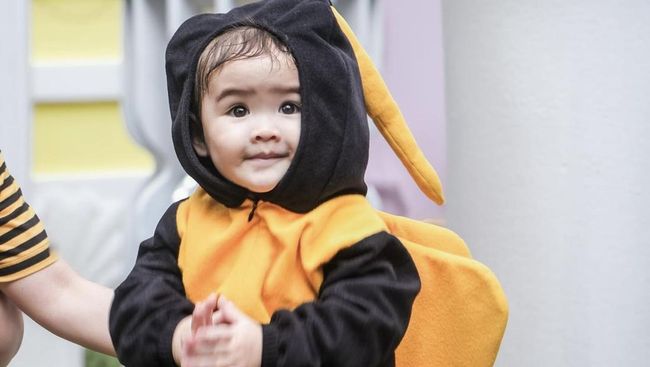 7 Potret Dunia Anak Ello Dewa 19 Gemas Cosplay Jadi Lebah Saat Ultah ke-1