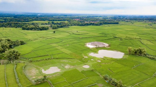 Badan Geologi Teliti Adanya Lithium di Fenomena 'Gunung Baru' RI