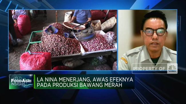 Video: Produksi Bawang Merah Terancam La Nina, Kementan Lakukan Apa?