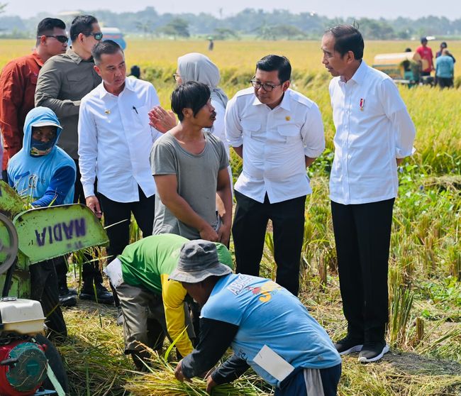 Petani Minta Harga Gabah Naik Rp2.000, Jokowi Langsung Restui?