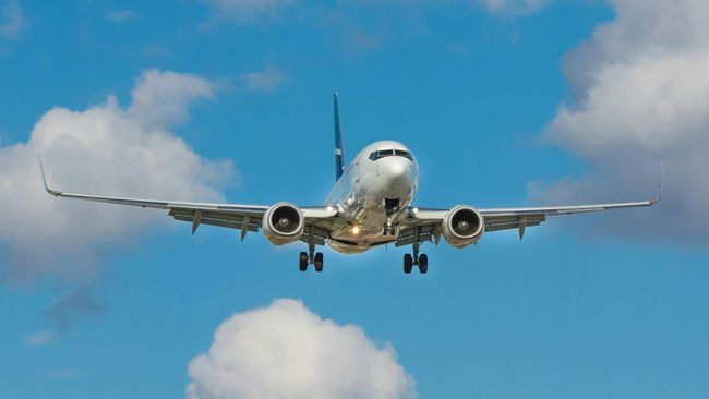 Tiket Pesawat RI Termahal Ke-2 di Dunia, Kemenpar Siapkan Ini