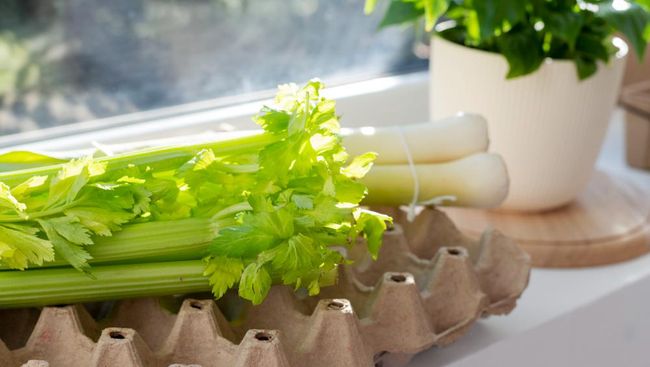 5 Sisa Bahan Sayur yang Bisa Ditanam Kembali, Ampuh untuk Berhemat dan ...
