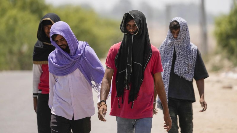 Potret Terkini Gelombang Panas 'Bakar' India, Manusia-Binatang Pingsan