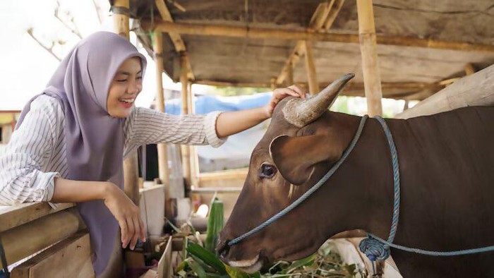 Ikut Berkurban Tahun Ini? Ketahui Syarat Hewan yang Bisa Dijadikan Kurban