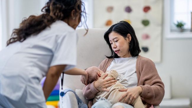 Mengenal Profesi Konselor Laktasi yang Semakin Diminati Busui ...