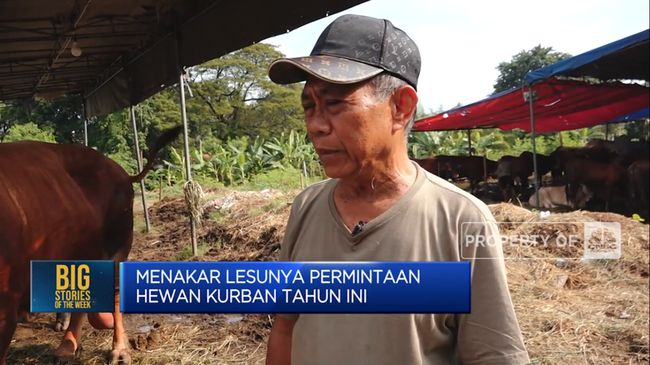 Video: Amankan Pasokan Hewan Kurban Di Hari Raya Iduladha 1445 H