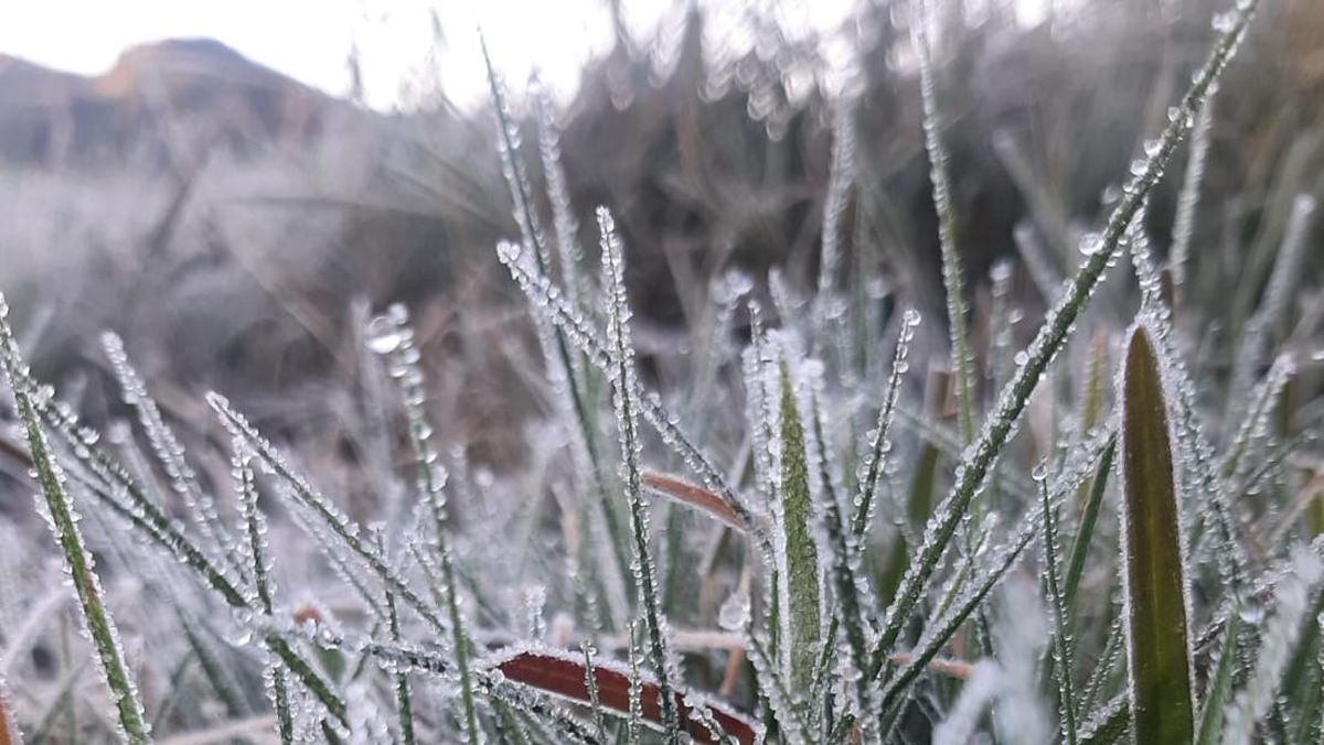 Dieng Kembali Membeku, Muncul Embun Es Pagi Ini