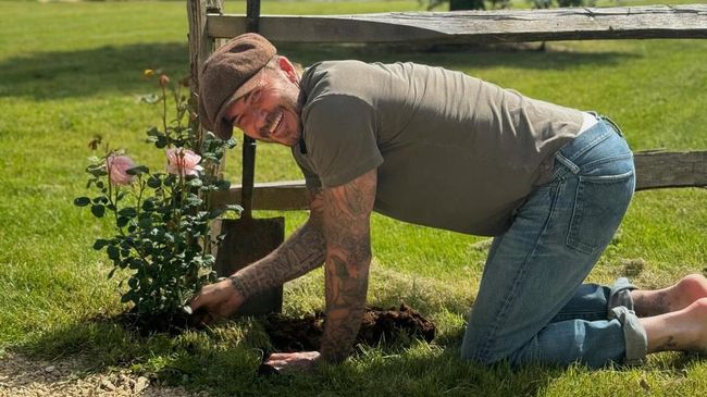 Sering Tak Disadari, Ini Latihan Terbaik Jika Ingin Hidup 100 Tahun