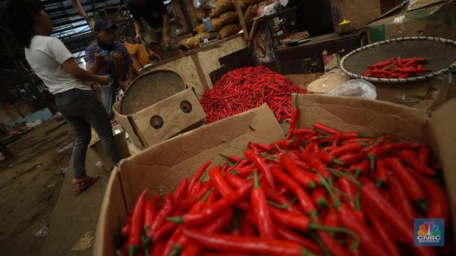 Pedagang Ungkap Stok Cabai Merah Kritis di Pasar