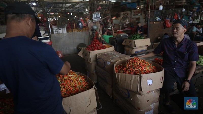 Pedagang Ungkap Stok Cabai Merah Kritis di Pasar