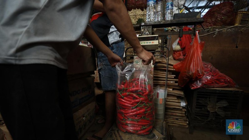 Pedagang Ungkap Stok Cabai Merah Kritis di Pasar