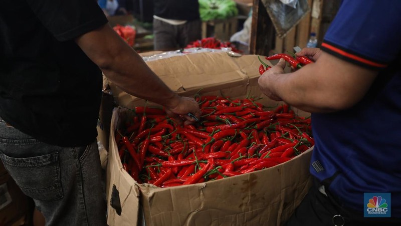 Pedagang Ungkap Stok Cabai Merah Kritis di Pasar