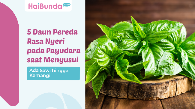 5 Daun Pereda Rasa Nyeri pada Payudara saat Menyusui, Ada Sawi hingga ...