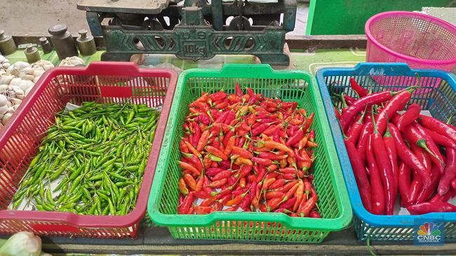 Harga Cabai Rawit Merah di Jakarta Tembus Rp90.000/Kg, Ada Apa?