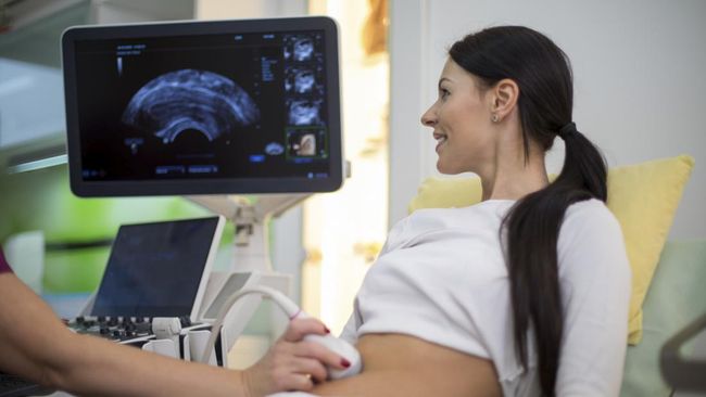 Embrio adalah Tahap Awal Perkembangan, Ini Tahapan dan Penjelasan ...