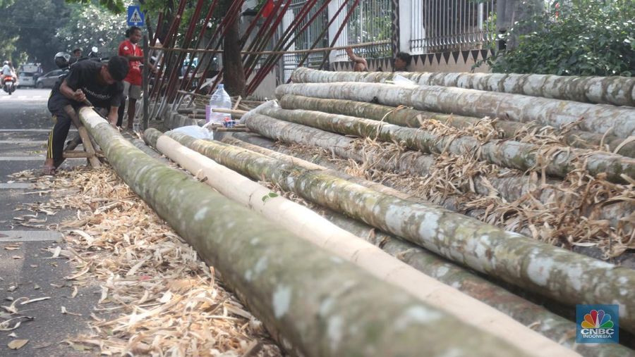 Tak Disangka! China Lebih Suka Bambu RI, Ternyata Ini Alasannya