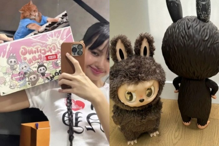 Boneka Labubu Jadi Tren Viral, Benarkah Picu Overconsumption?