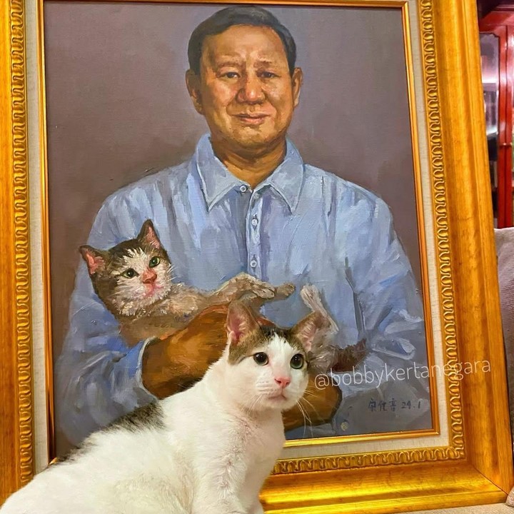 Cute Banget Sih, 5 Potret Bobby Kertanegara Jadi Kucing Paling Dicari ... Cute Banget Sih, 5 Potret Bobby Kertanegara Jadi Kucing Paling Dicari ...