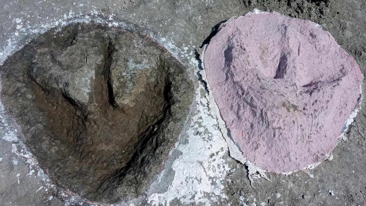 Discovery of World's Largest Dinosaur Footprint in England: A ...