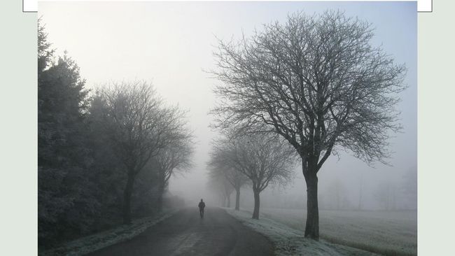 Loneliness Epidemic: Masalah Global yang Menghantui Era Modern