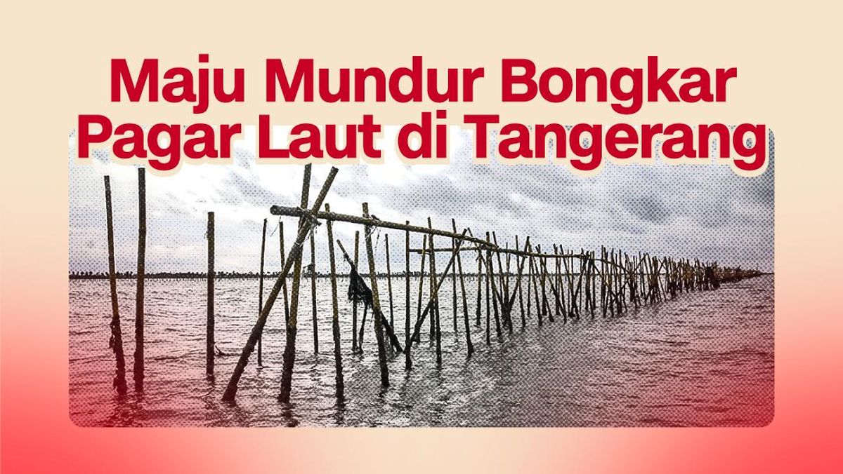 INFOGRAFIS: Maju Mundur Bongkar Pagar Laut di Tangerang