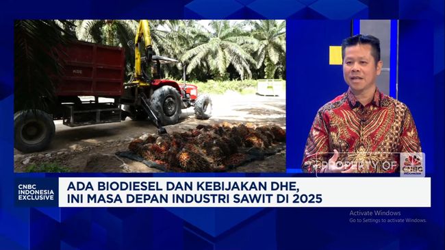 Video: Bos Sawit & Tantangan Genjot Produksi CPO Demi B40 Era Prabowo