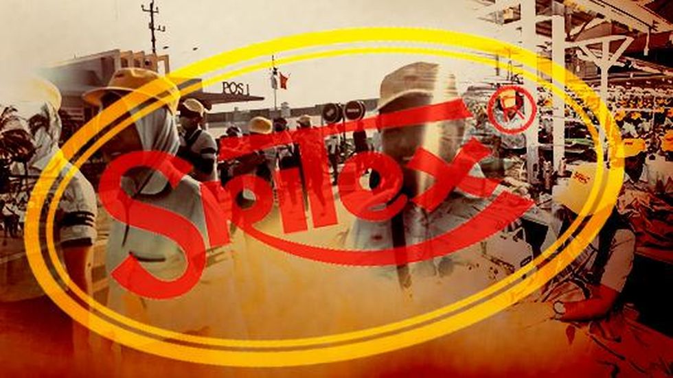 Fokus : Senjakala Cerita Sritex - CNN Indonesia