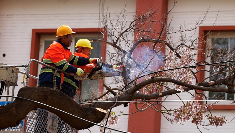 Potret Petaka Hantam China, Bandara Lumpuh-Ratusan Penerbangan Batal