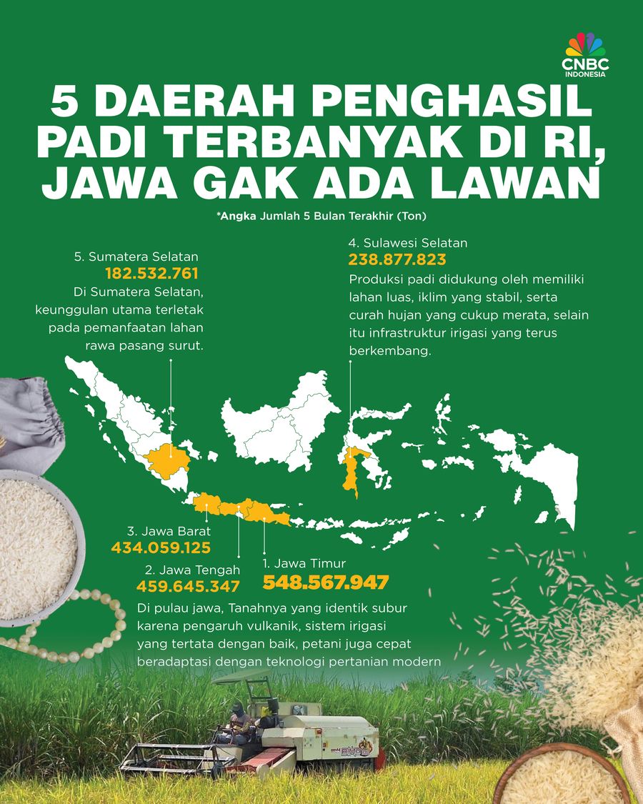 5 Daerah Lumbung Padi di Indonesia, Jawa Jadi Raja
