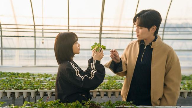 5 Drama Korea Paling Banyak Ditonton di Netflix Minggu Pertama Juli 2025