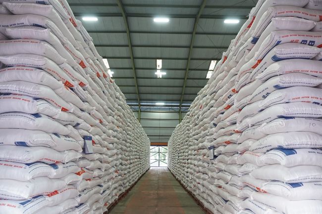 Terkuak! Ini Biang Kerok Penyebab Harga Beras Naik Saat Stok Tinggi