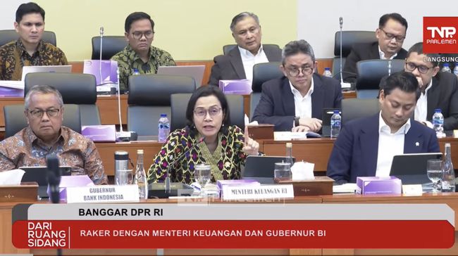 Momen Sri Mulyani Minta Dukungan Bos BI Saat Bahas Defisit APBN di DPR