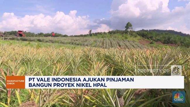 Video: PT Vale Indonesia Ajukan Pinjaman Bangun Proyek Nikel HPAL
