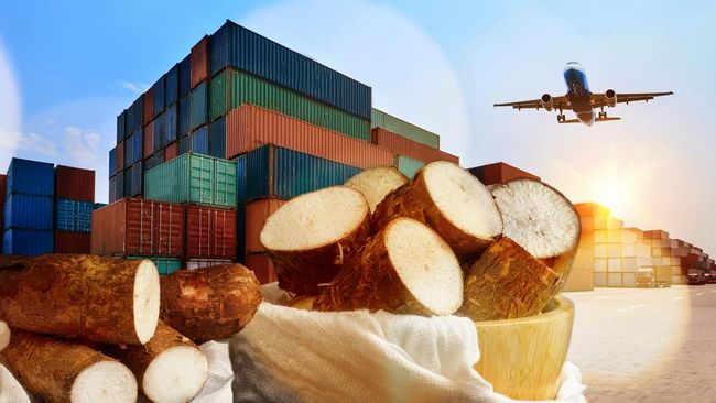 Impor Singkong & Tapioka RI Bikin Kaget, Melonjak 800%