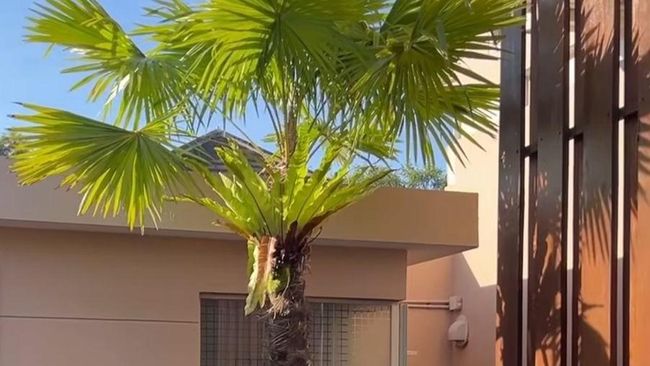 Menetap di Yogyakarta, Intip Hunian Rio Febrian & Sabria Kono ...