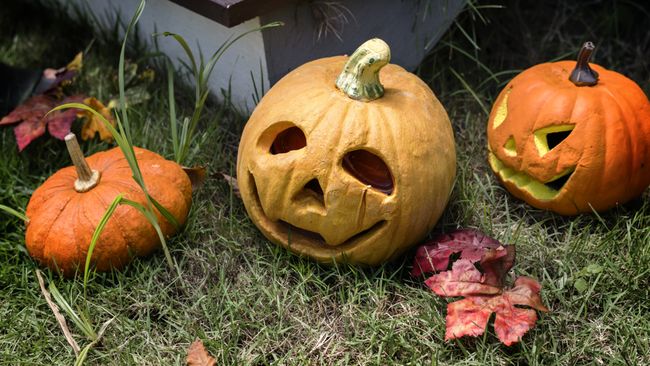 Alasan Halloween Identik dengan Labu