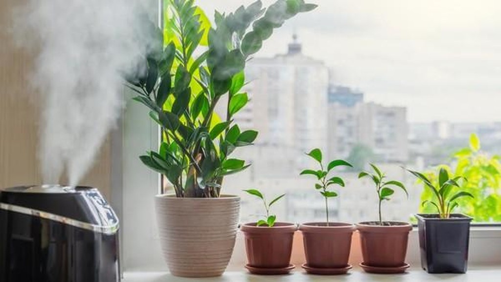 Udara Lembab Bikin Nggak Nyaman? Ini 2 Solusi Praktis yang Harus Kamu ...