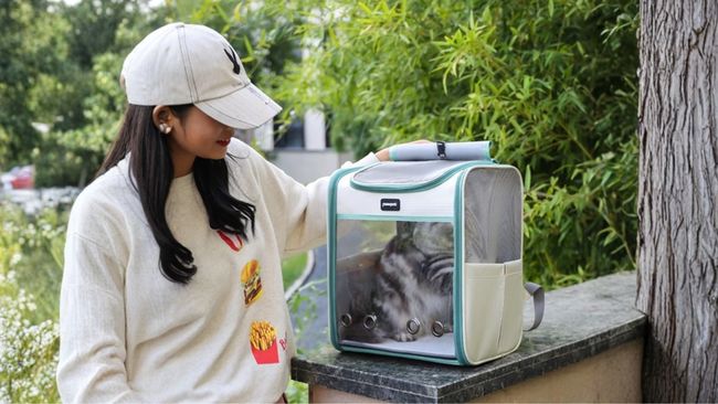 Travel Bareng Anabul Makin Stylish & Aman dengan 2 Tas Transparan ...