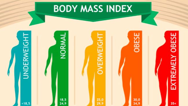 Cara Menghitung Body Mass Index