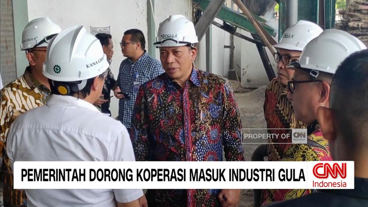 VIDEO: Pemerintah Dorong Koperasi Masuk Industri Gula Nasional